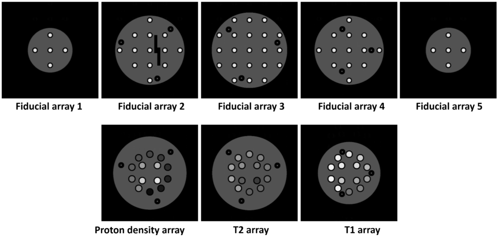 3D_SPGR_of_NIST_phantom | BlochSolver