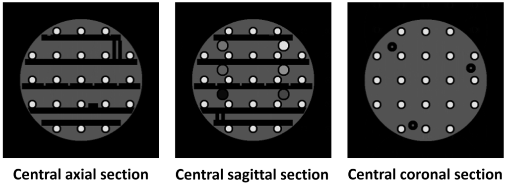 3D_SPGR_of_NIST_phantom | BlochSolver