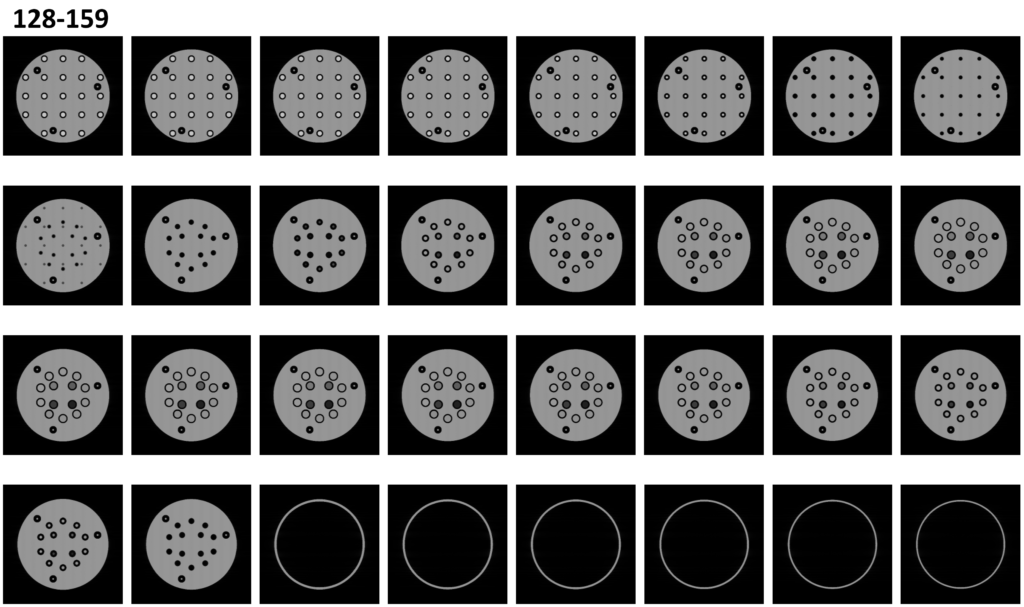 3D_Gradient_Echo_of_NIST_phantom | BlochSolver