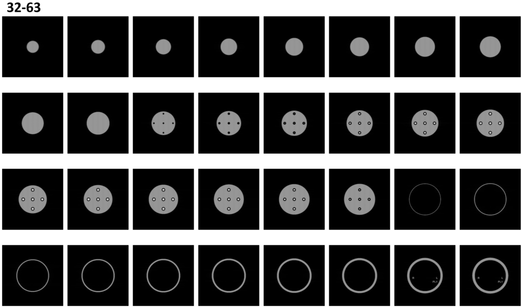 3D_Gradient_Echo_of_NIST_phantom | BlochSolver
