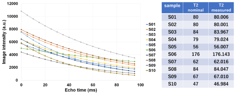 2DMGRE | BlochSolver