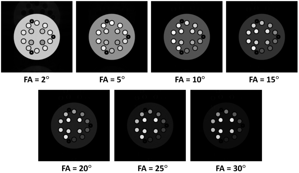 Variable_FA_SPGR | BlochSolver