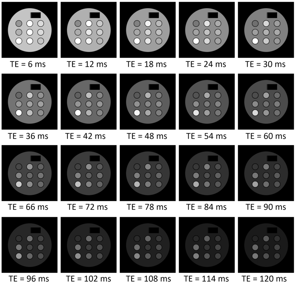 2DMGRE | BlochSolver