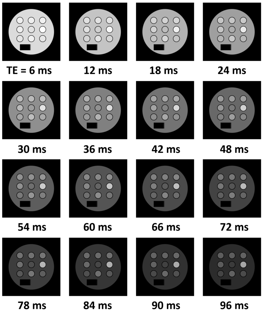 2D_multiple_GRE_2080p | BlochSolver