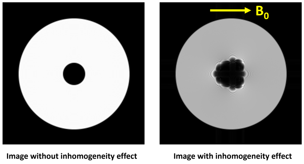 Inhomogeneity_of_static_magnetic_field | BlochSolver
