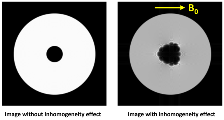 Inhomogeneity_of_static_magnetic_field | BlochSolver