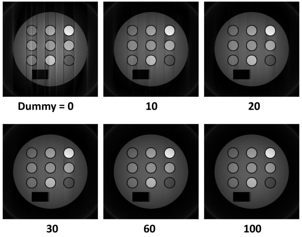 2D_radial_scan_2080p | BlochSolver